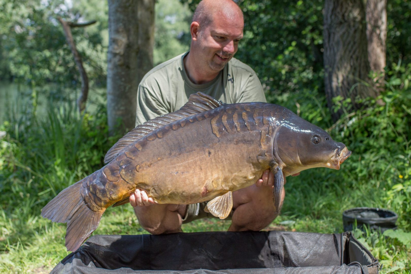 Dit zijn de verschillende soorten karpers die je kunt vangen - CarpFeeling