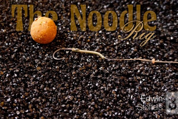 Alle rigs, onderlijnen en systemen voor karper op een rij - CarpFeeling