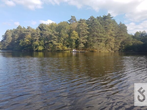 Review Raptor XL platform - Tom Lenters -CarpFeeling