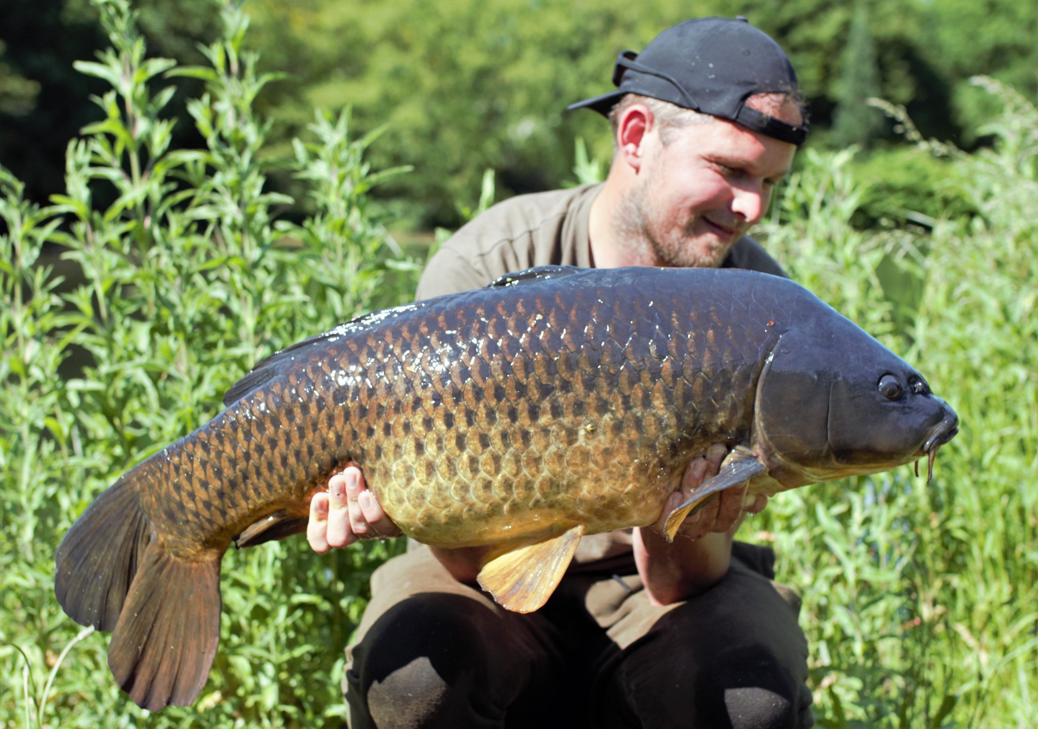 CarpFeeling - Dé mooiste en grootste karper site van NL en BE